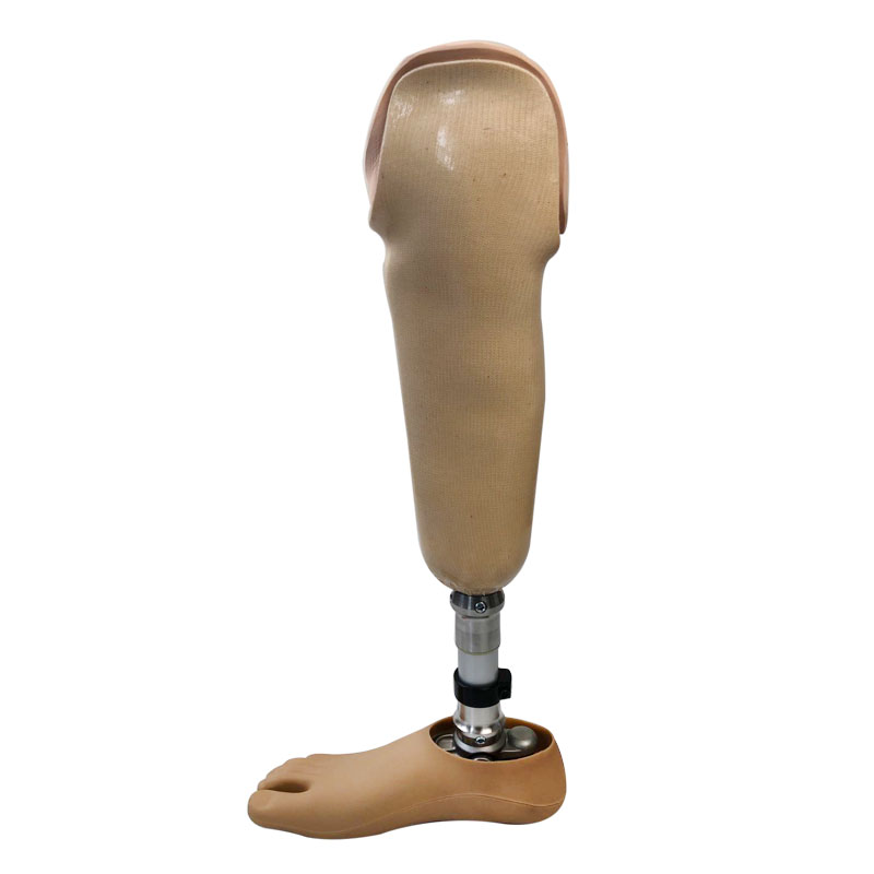 China Factory Supplier Artificial Limbs BK Leg Prosthetic Leg For Below ...
