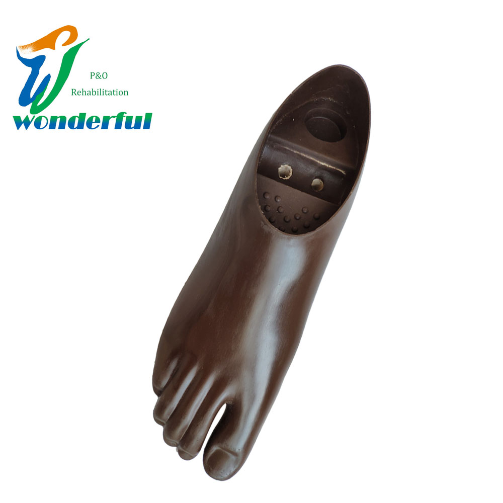 China Top Quality Artificial Limb Prosthesis Single Axis Foot Two Holes ...