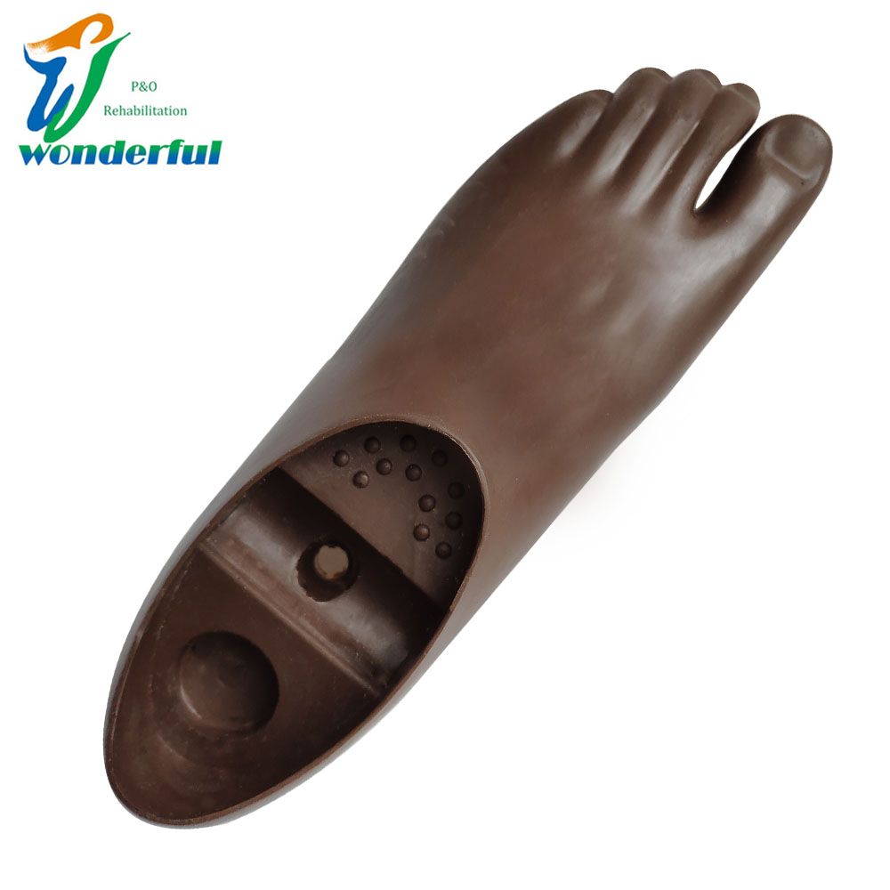 China Wholesale Prosthesis Double Axis Foot Adaptor Prosthetic Foot ...