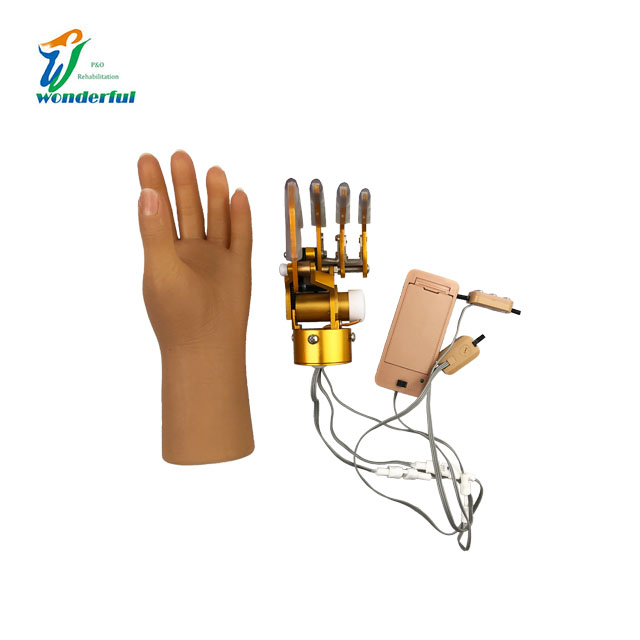 China China Supplier Medical Implant Prosthetic Myoelectric Control ...