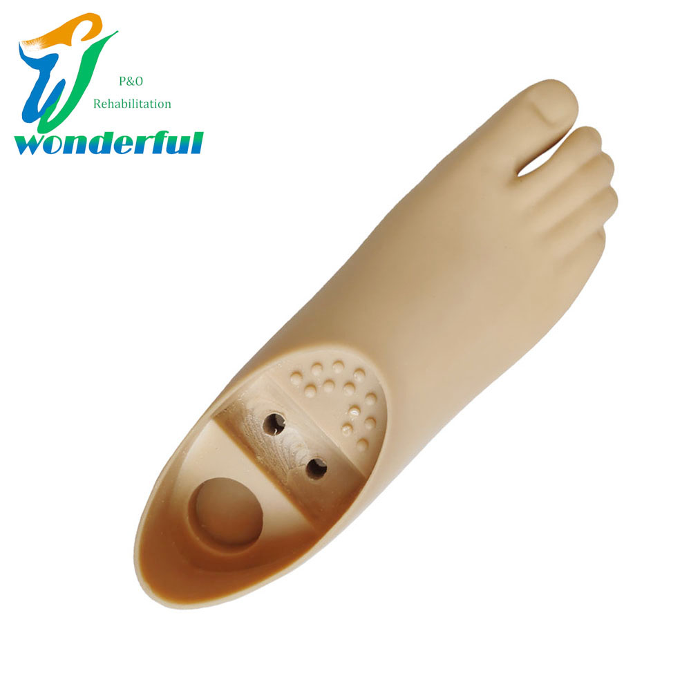 China Prosthetic double axis foot for amputee factory and manufacturers ...