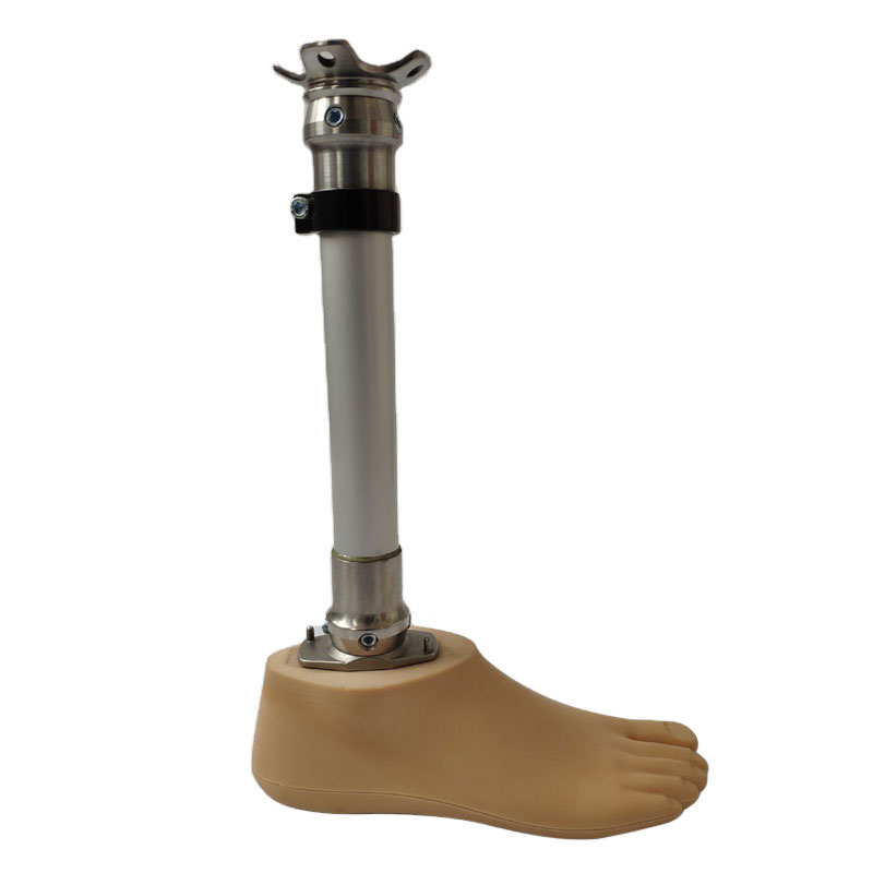 China Prosthetic Leg Manufacturer and Supplier Prosthetic Components ...